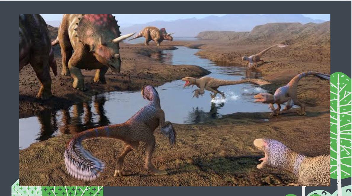 Edu21 – The 21st Century School