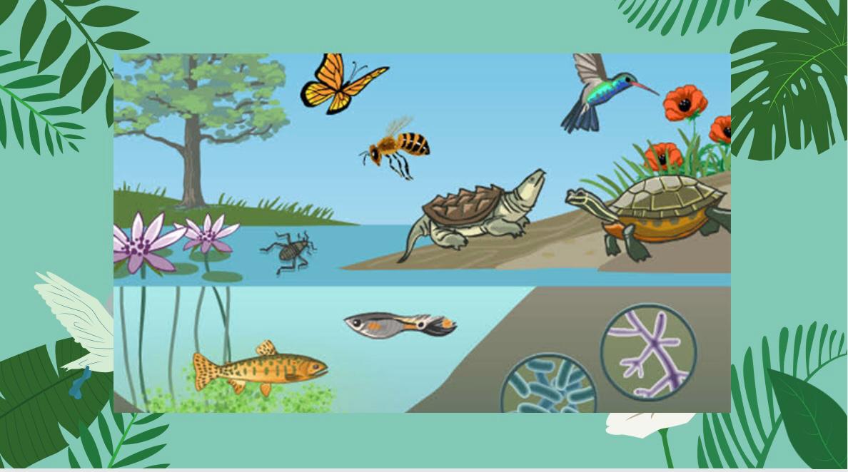 Edu21 – The 21st Century School